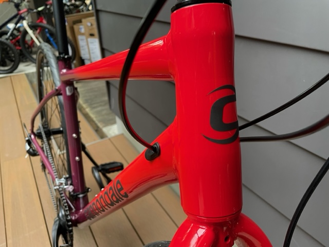 QUICK LTD 少量入荷！！ | 岡山店ブログ | cycle shop Freedom｜岡山のロードバイク・スポーツバイク専門店